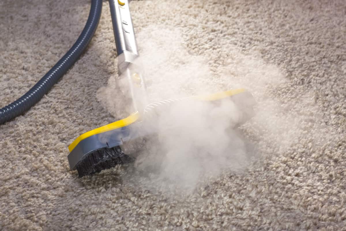 5 Best Commercial Steam Cleaners for Home and Business Use | Durability ...